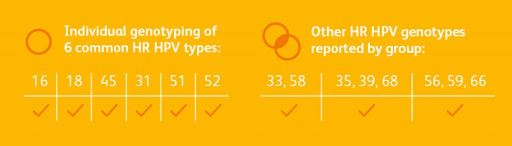 Vaginal swabs with a self-sampling procedure for HPV DNA testing in the ...